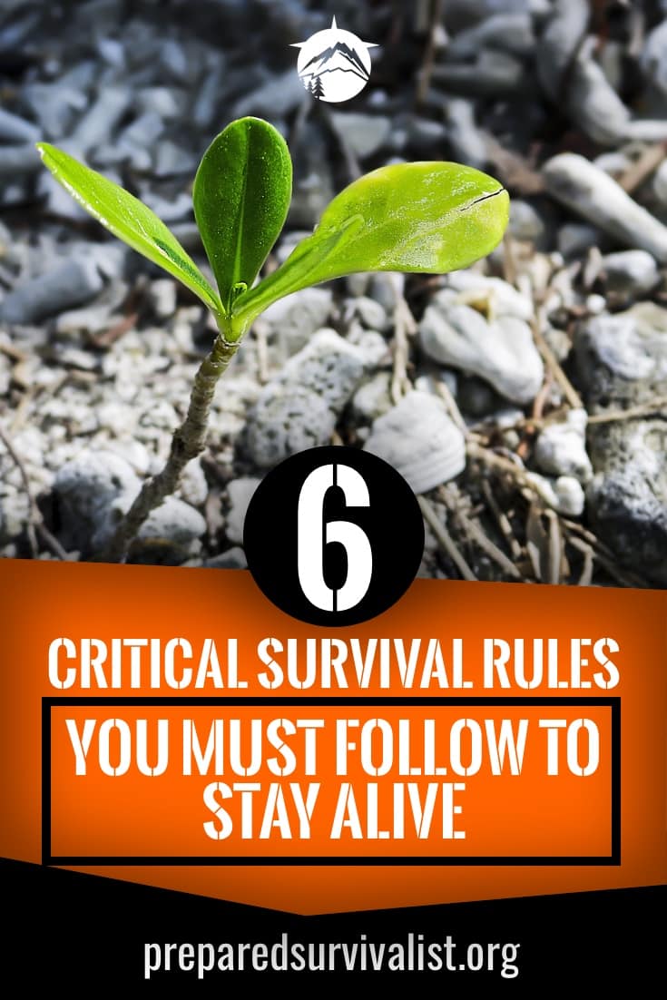 6 Critical Survival Rules You Must Follow to Stay Alive