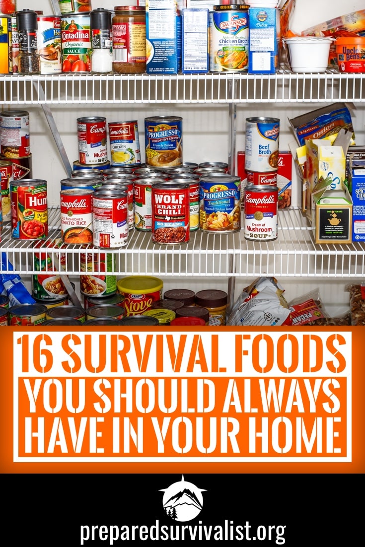 16 Survival Foods You Should Always Have In Your Home