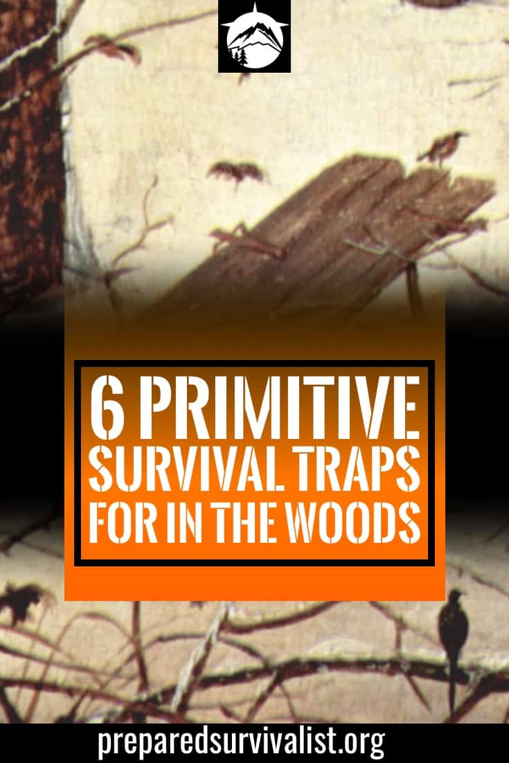 6 Primitive Survival Traps For in the Woods