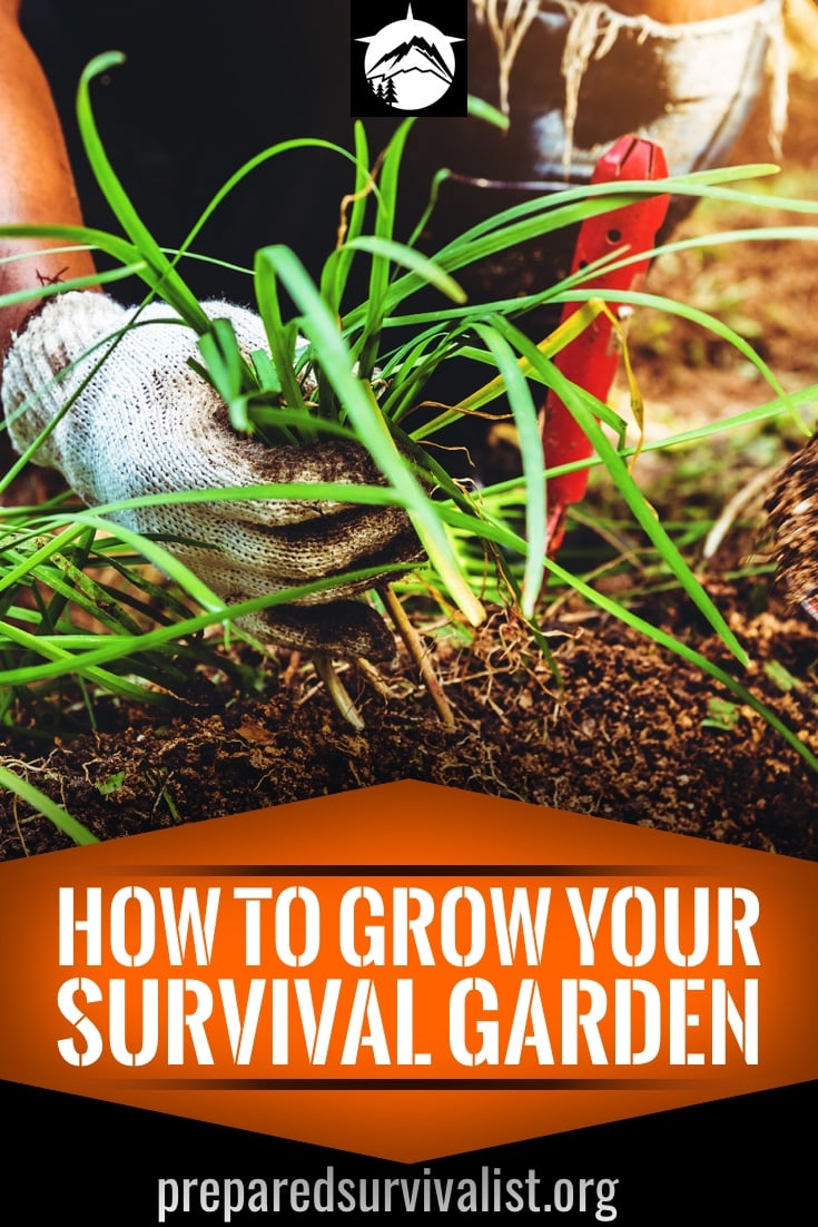How To Grow Your Survival Garden