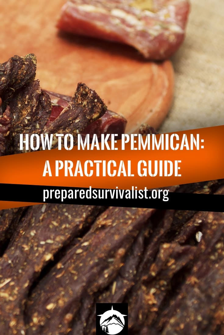 How To Make Pemmican: A Practical Guide