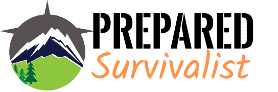 How To Make a DIY Taser / Stun Gun: A Step-By-Step Guide