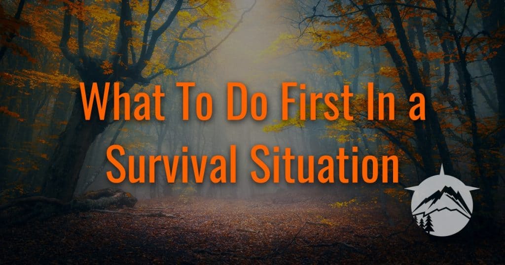 - Prepared Survivalist